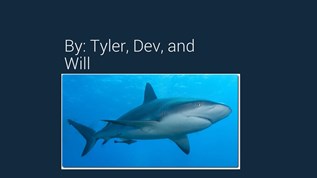 By: Tyler, Dev, and Will at emaze Presentation