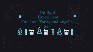 Oil spill experiment at emaze Presentation