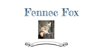 Fennec Fox at emaze Presentation