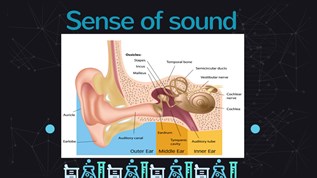 Sense of Sound at emaze Presentation
