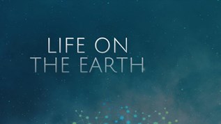 LIFE ON THE EARTH at emaze Presentation
