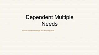 Dependent Multiple Needs at emaze Presentation
