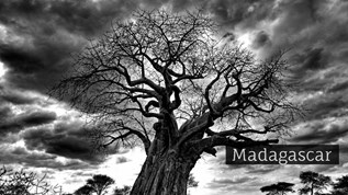 Madagascar at emaze Presentation