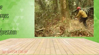 deforestation cf at emaze Presentation