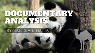 Pandas documentary at emaze Presentation