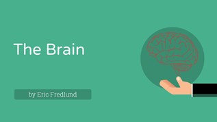 The Brain at emaze Presentation