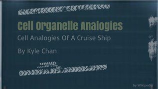 Cell Analogies of a Cruise Ship at emaze Presentation