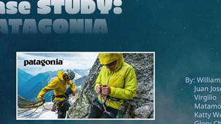 CASE STUDY: PATAGONIA at emaze Presentation