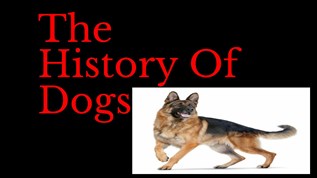 The History Of Dogs at emaze Presentation