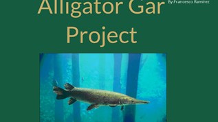Alligator Gar Facts at emaze Presentation