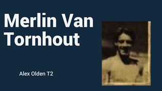 Merlin Van at emaze Presentation