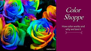 The Color Shoppe at emaze Presentation