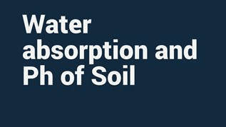 Water absorption and Ph of soil at emaze Presentation