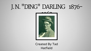 Ding Darling by Tad Hatfield at emaze Presentation