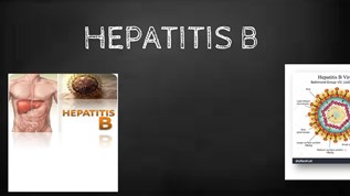 HEPATITIS B at emaze Presentation