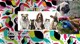 vets at emaze Presentation