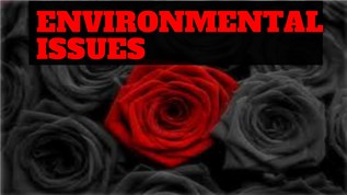 ENVIRONMENTAL issues at emaze Presentation