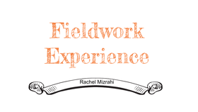 Fieldwork Experience at emaze Presentation