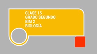 clase15-bim2-segundo at emaze Presentation