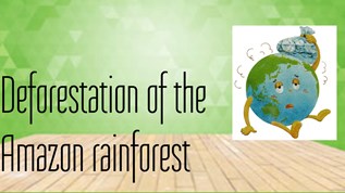 Deforestation at emaze Presentation