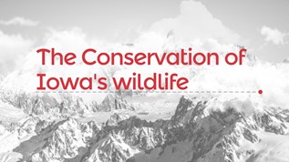 The Conservation of Iowa at emaze Presentation