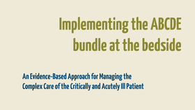 IT - Final Project - ABCDE bundle.pptx at emaze Presentation