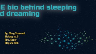 Presentation Name at emaze Presentation