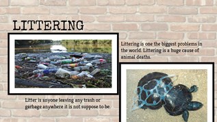 Littering at emaze Presentation