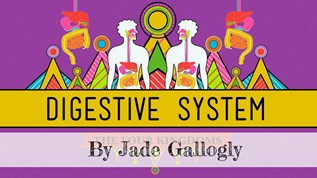 Digestive System at emaze Presentation