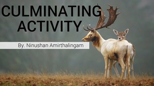 Culminating Project at emaze Presentation