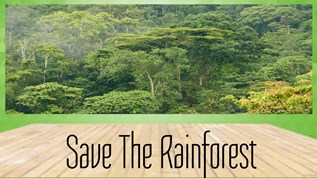 Save The Rainforest at emaze Presentation