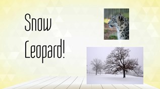Snow Leopard! at emaze Presentation