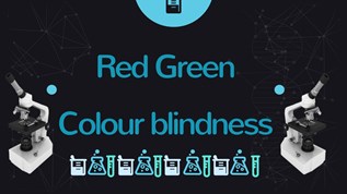 Red Green Colour Blindness at emaze Presentation