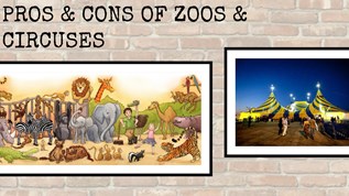 Pros & Cons of Zoos at emaze Presentation