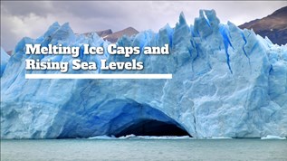 Melting Ice Caps Presentation copy1 at emaze Presentation