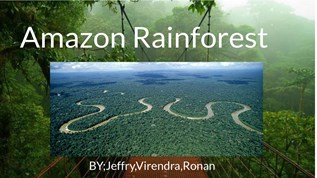 Amazon RainforestBy at emaze Presentation