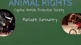 ANIMAL RIGHTS FINAL PRESENTATION copy1 at emaze Presentation