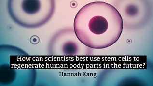 BIO Inquiry: Stem Cell Regeneration at emaze Presentation
