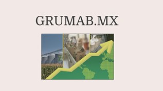 GrumaB.mx at emaze Presentation