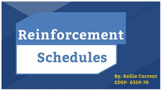 Reinforcement Schedule at emaze Presentation