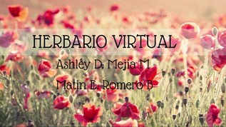 Herbario At Emaze Presentation