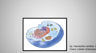 Concept of the cell - Part 1 at emaze Presentation