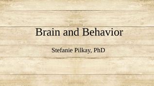 Brain and Behavior at emaze Presentation