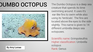 Dumbo octopusBy Amy on emaze