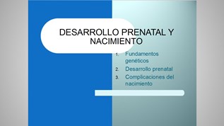 Desarrollo prenatal y nacimiento at emaze Presentation