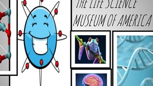 the life science at emaze Presentation