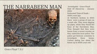 The Narrabeen at emaze Presentation