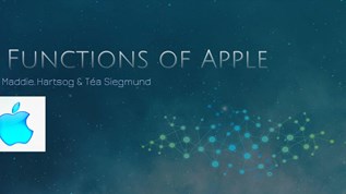 7 Functions Apple at emaze Presentation