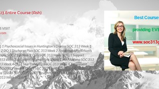 SOC 313 genius Learnsoc313genius.com at emaze Presentation