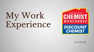 My Work Experience at emaze Presentation